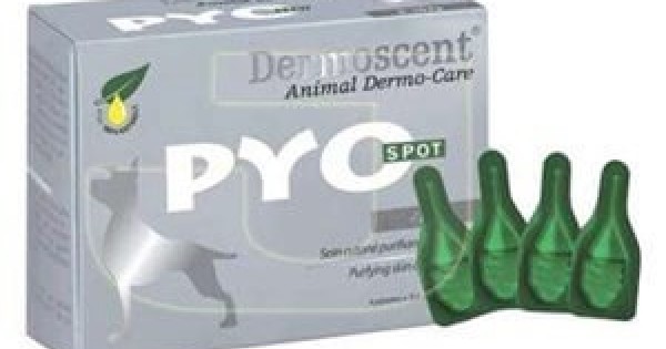 Dermoscent PyoSpot Koku Giderici Damla 20-40 Kg - Istanbul Pet Shop